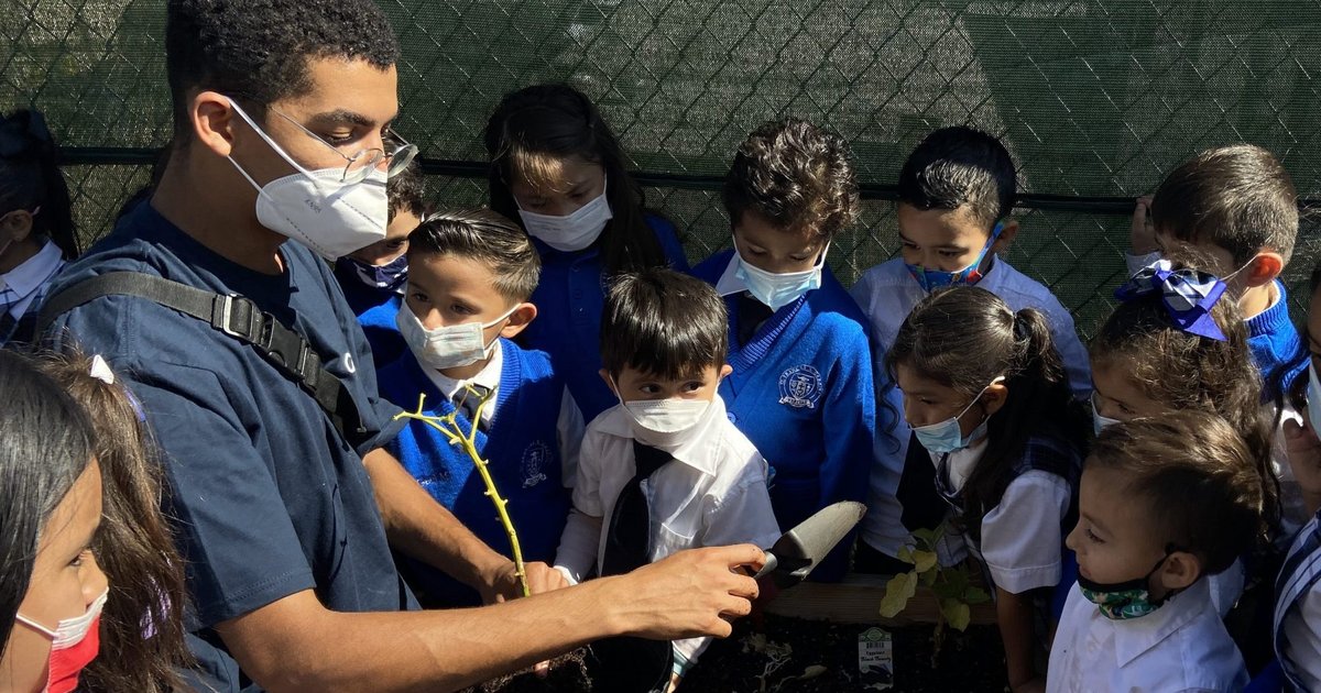 Catholic school kids harvest hope in a South LA ‘food desert’ | Angelus ...