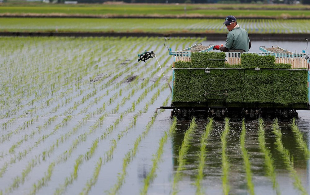 World health depends on changing way food is made, eaten, say speakers ...