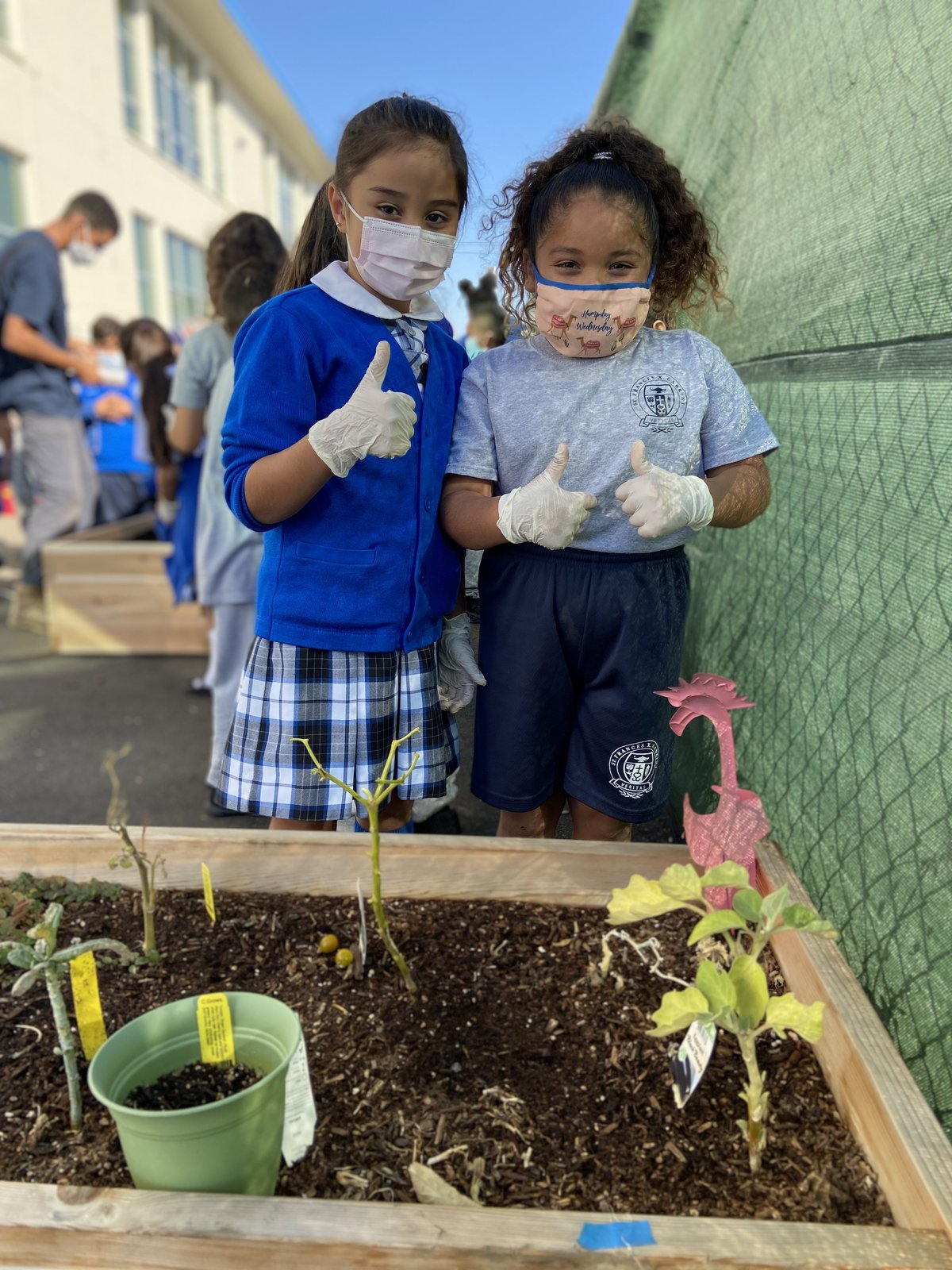 Catholic school kids harvest hope in a South LA ‘food desert’ | Angelus ...