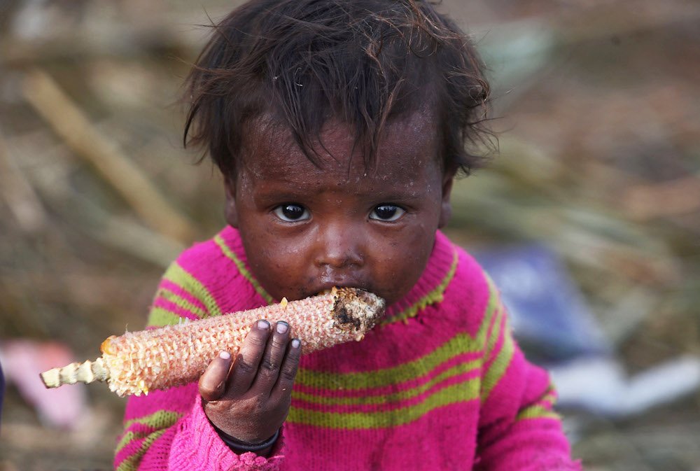 Lack of progress fighting hunger is shameful, pope says | Angelus News