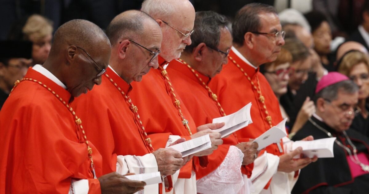 Meet the 'papabile': 12 cardinals who could become the next pope ...
