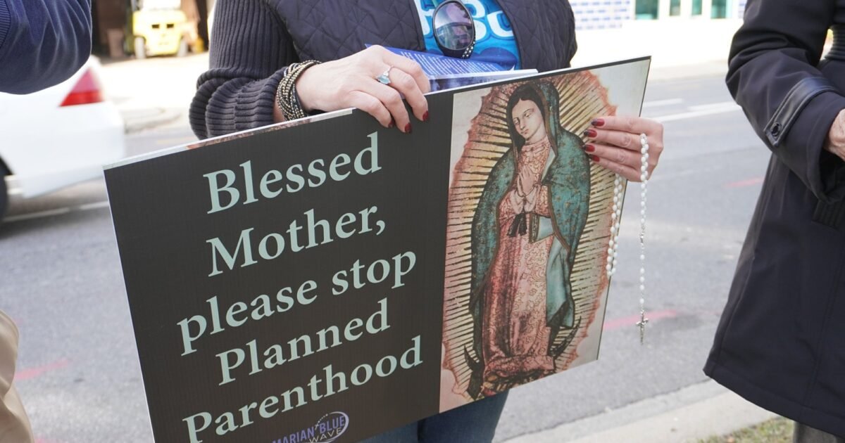 Wise as serpents, innocent as doves: Defending the unborn in a post-roe ...