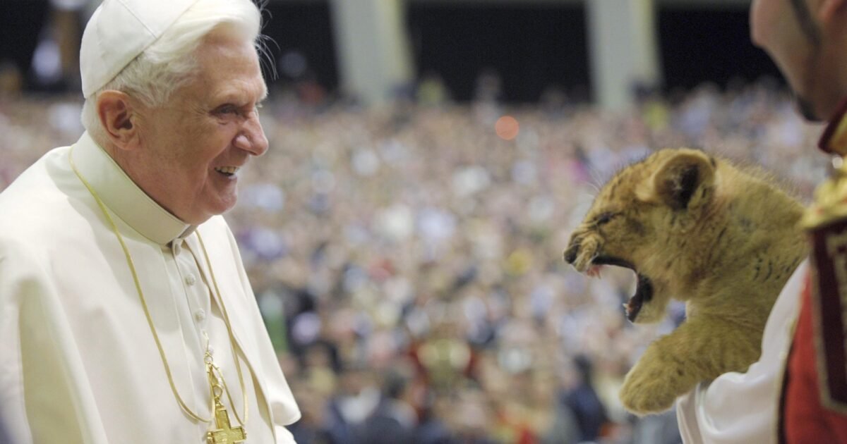 German pope made no secret of his love for cats - Detroit Catholic