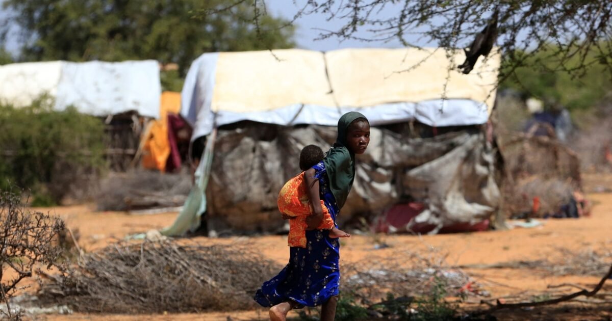 Catholic aid agencies race to save millions in Somalia from ravages of ...