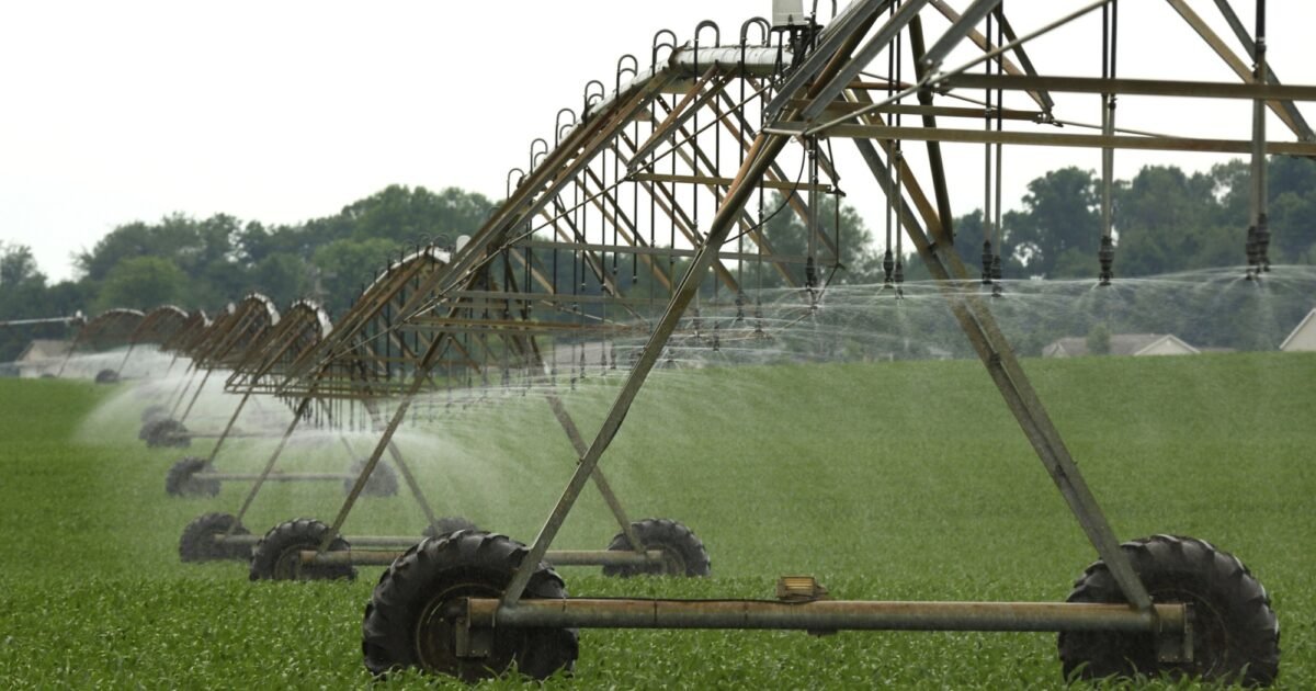 Farm bill key to food security in U.S. and abroad, Catholic activists ...