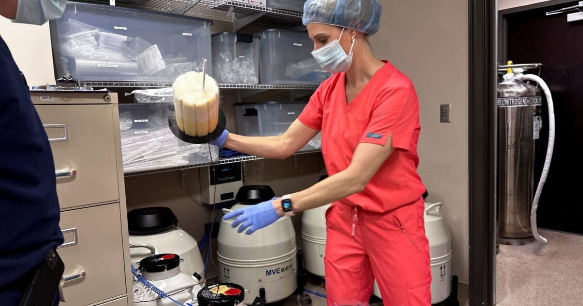 Trump's IVF order fuels mass destruction of human embryos, not birth ...