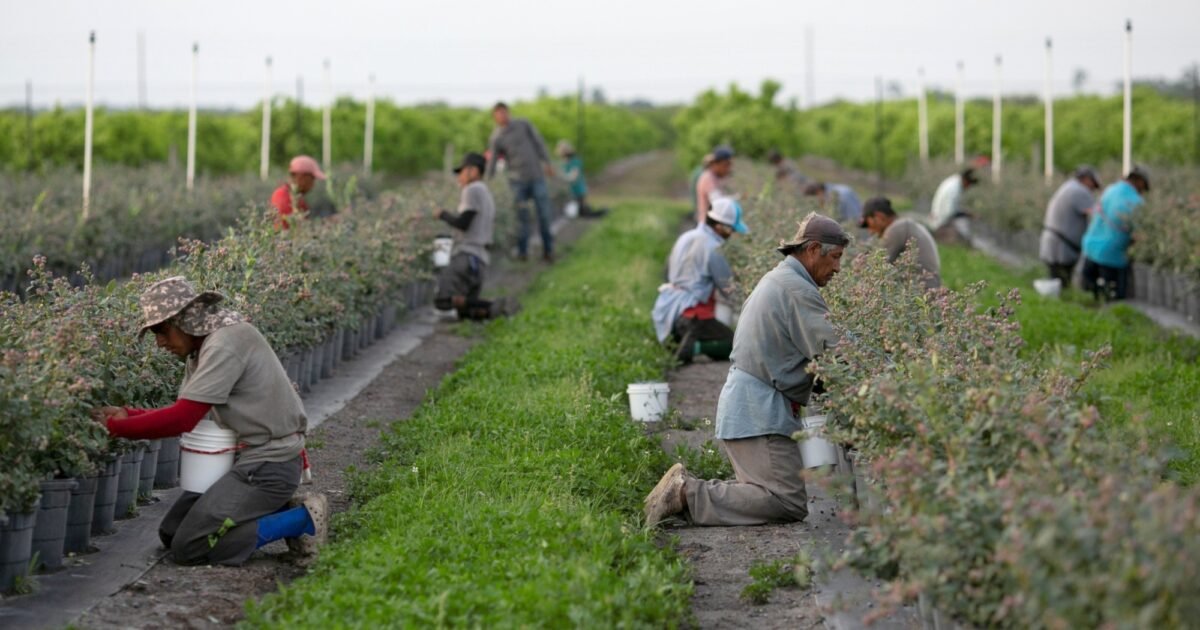 Special week puts focus on how food gets to Americans' tables ...