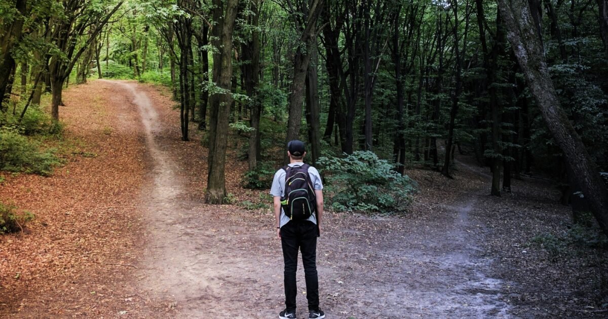 The risks and blessings of free will- Detroit Catholic