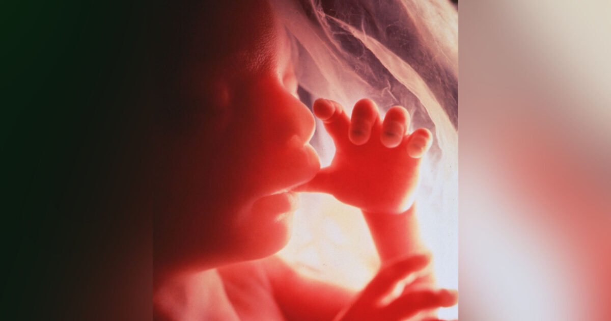 Comfort and joy contemplating the Child Jesus growing in Mary's womb ...